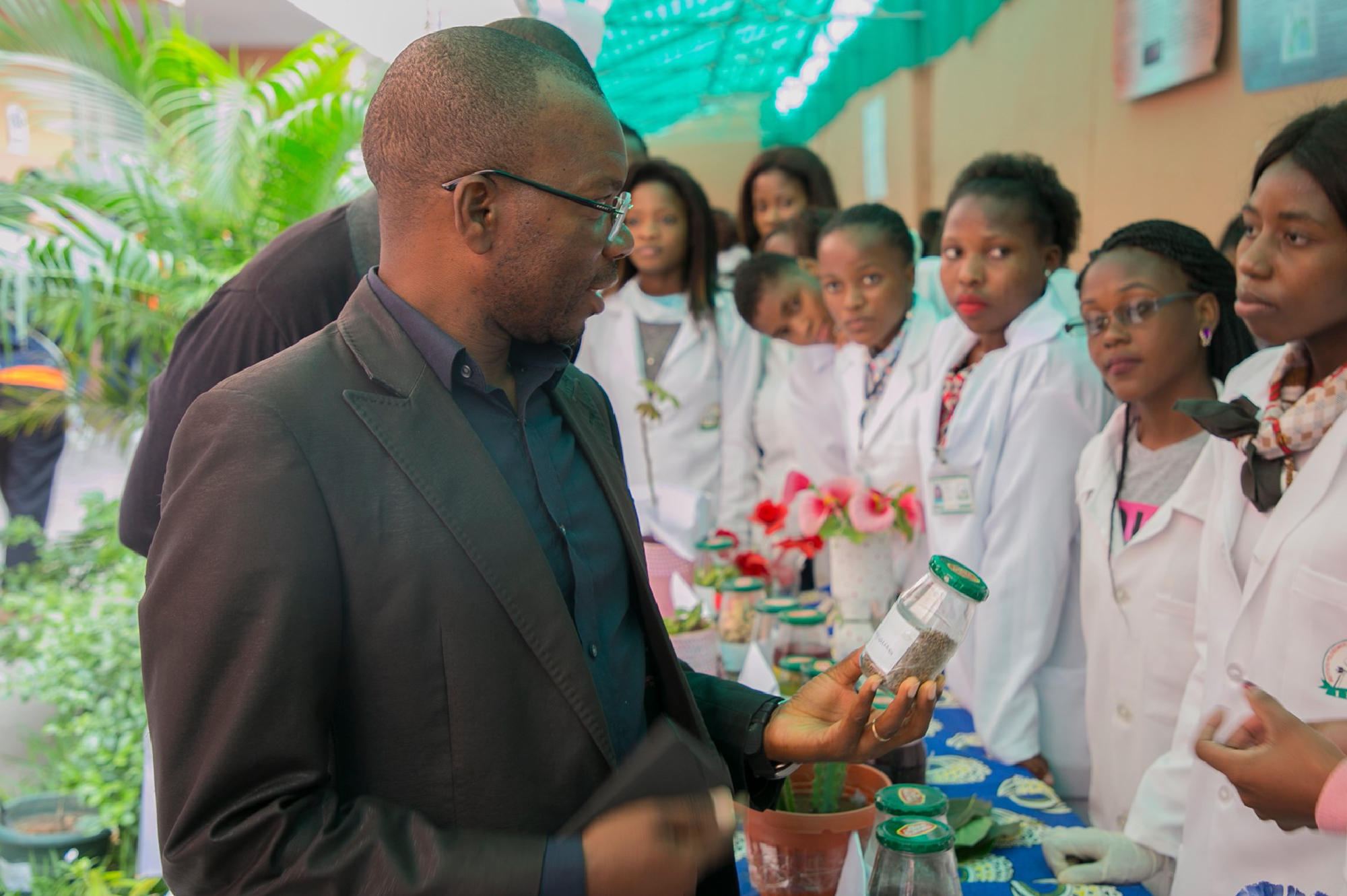 IPET – Sucesso 100 Limites